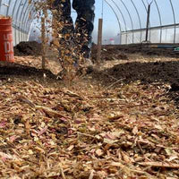 Collections - Bootstrap Farmer