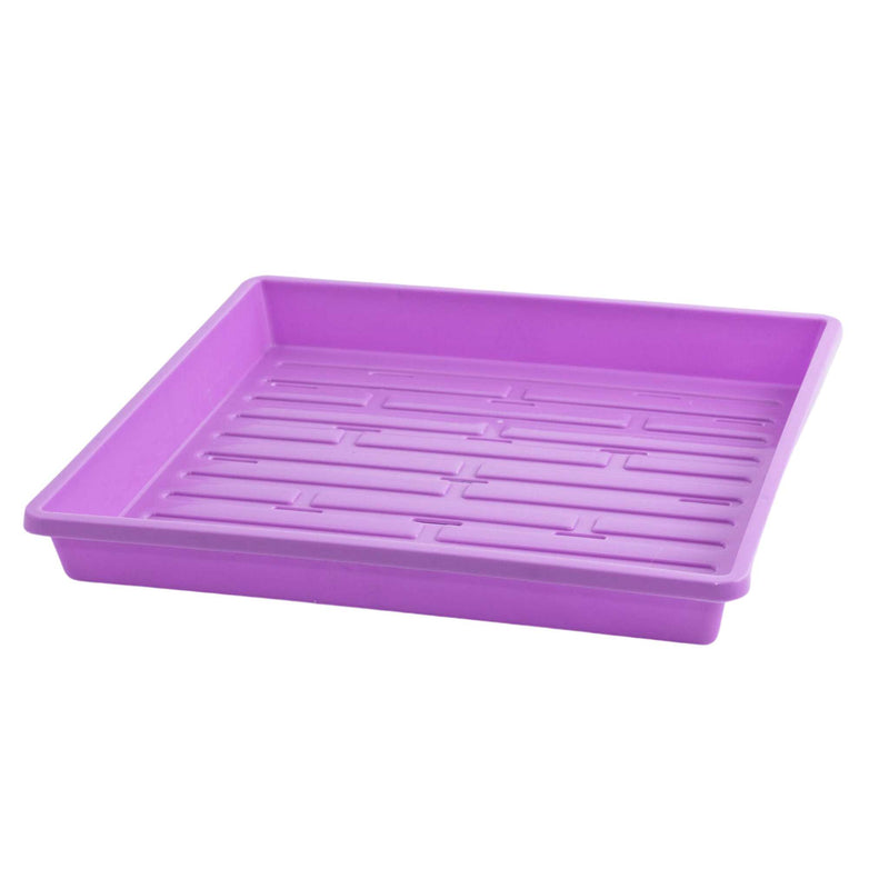 1010 Propagation Trays | Order Shallow 1010 Seed Trays Online ...