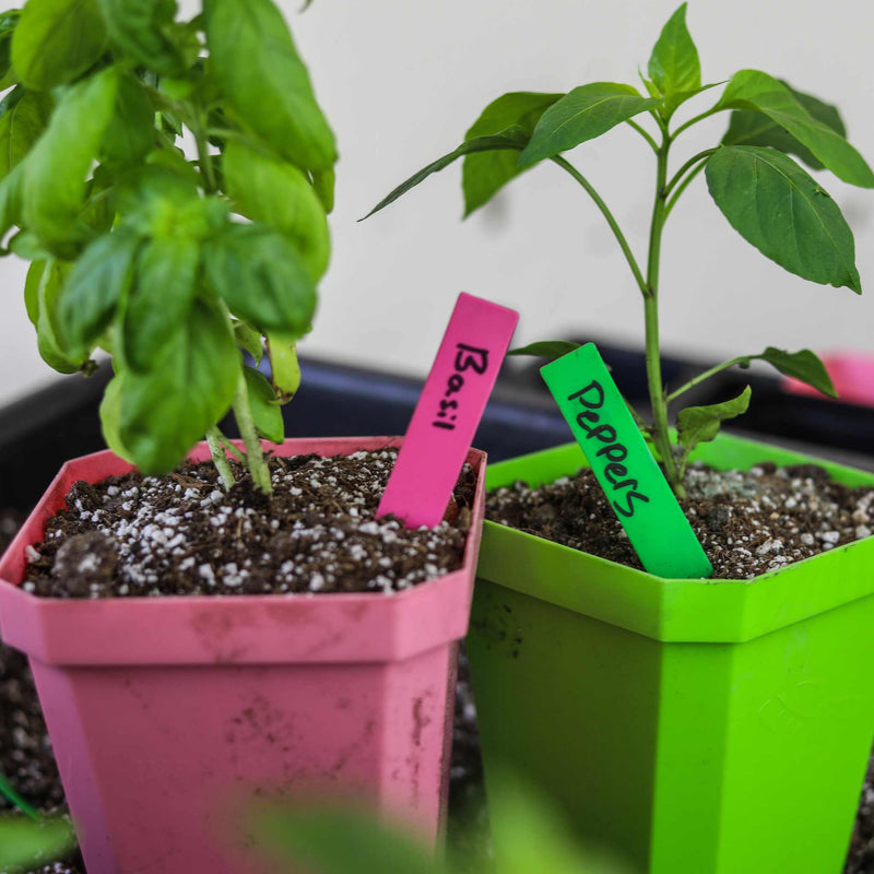 Multi-color Plant Labels | 100 count $4.99 USD