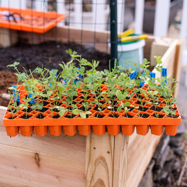 Seed Starting Supplies & Equipment