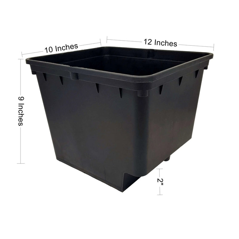 Pack Size 10 pack