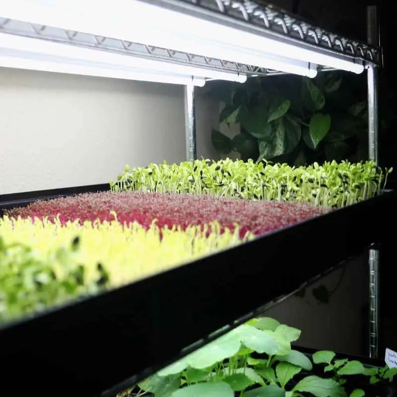Automated Grow Rack - Vertical Grow System - Bootstrap Farmer